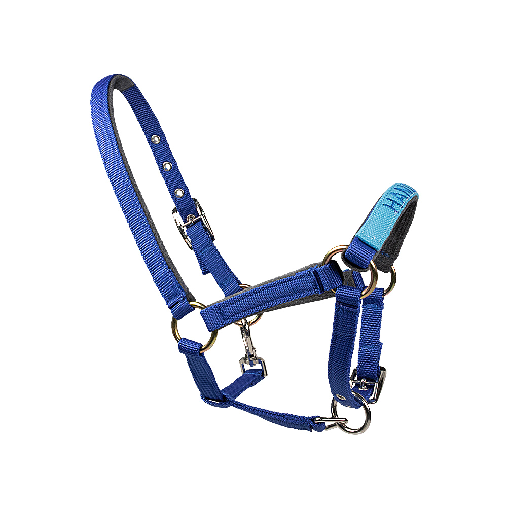 Personalized Embroidered Horse Halter - CALLIE