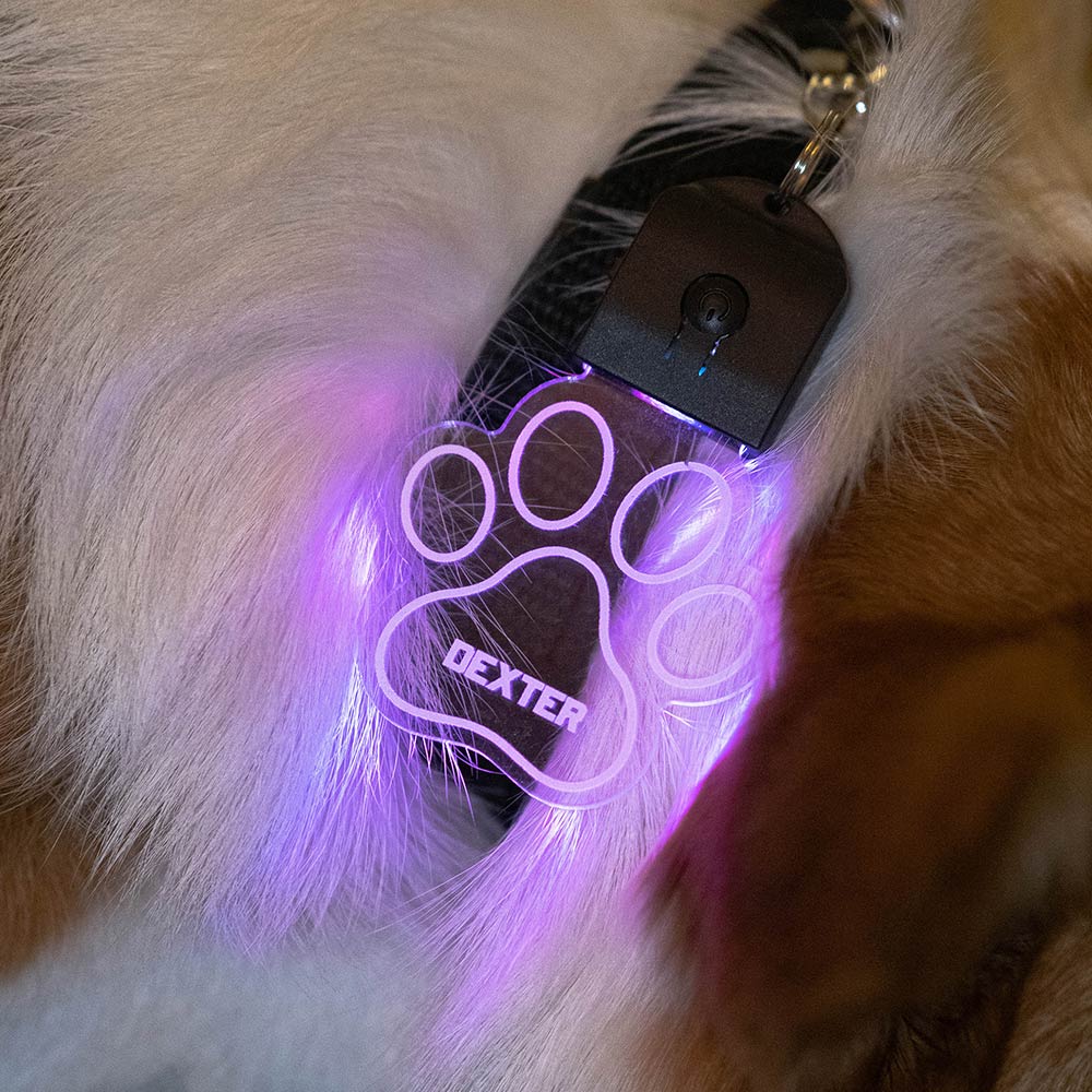 Personalized Paw and Bone Shaped LED Acrylic Dog Collar Tag with Name 7 ...