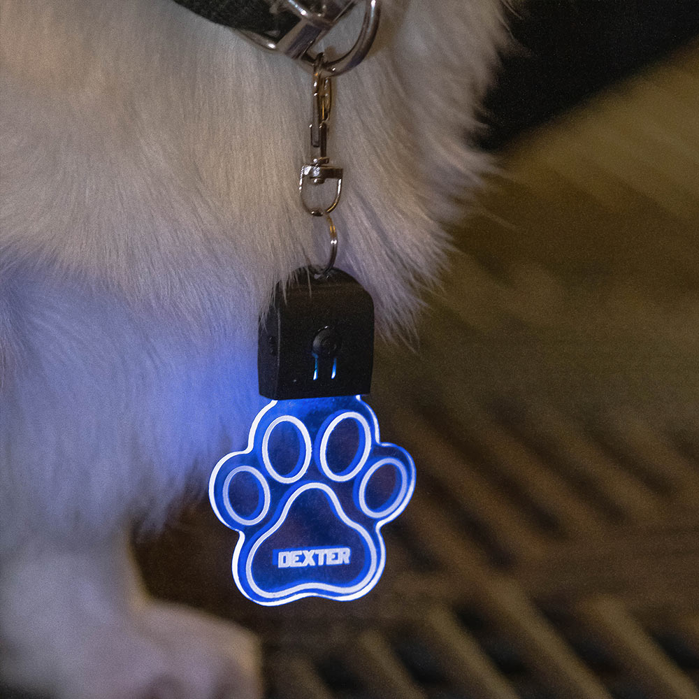 Personalized Paw and Bone Shaped LED Acrylic Dog Collar Tag with Name 7 ...