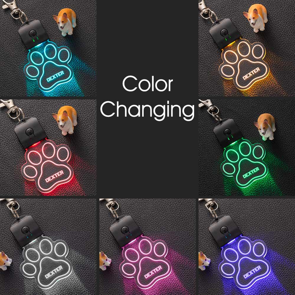 Personalized Paw and Bone Shaped LED Acrylic Dog Collar Tag with Name 7 ...