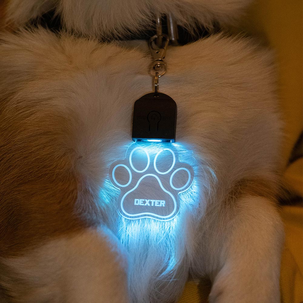 Personalized Paw and Bone Shaped LED Acrylic Dog Collar Tag with Name 7 ...