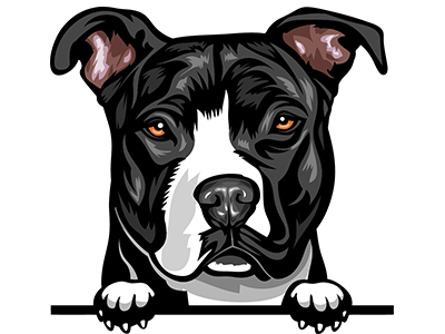 Personalized Welcome Door Sign Wooden Crazy Dog Lady And Grumpy Old Man ...