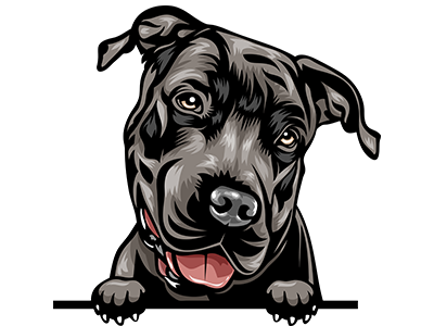 Personalized Welcome Door Sign Wooden Crazy Dog Lady And Grumpy Old Man ...