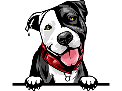 Personalized Welcome Door Sign Wooden Crazy Dog Lady And Grumpy Old Man ...