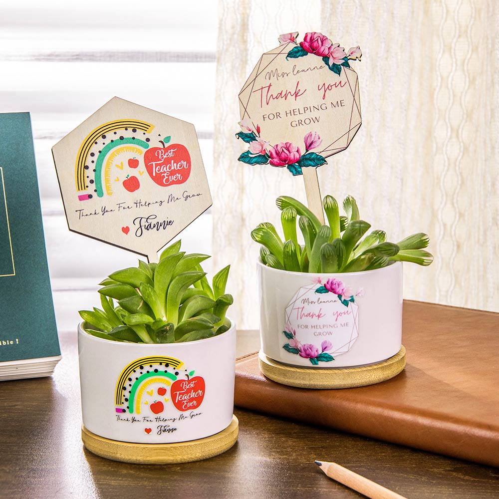 Personalized Teacher Plant Stakes and Flower Pot for Teacher ...