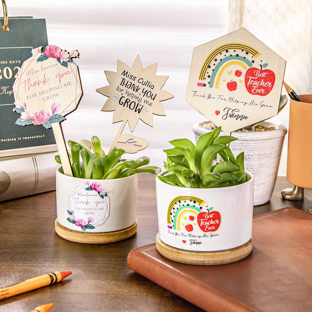 Personalized Teacher Plant Stakes and Flower Pot for Teacher ...