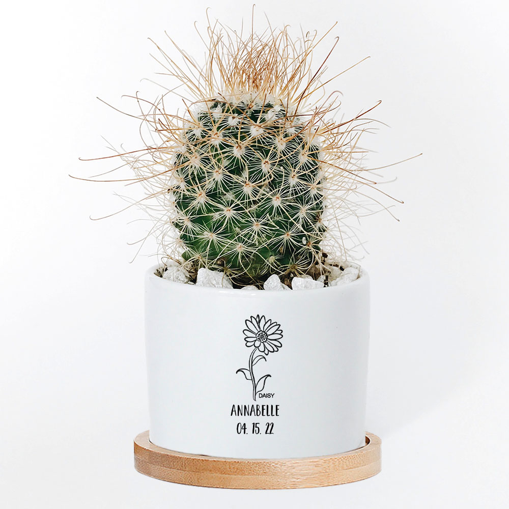 Personalized Memorial Succulent Pot with Birth Flower New Baby and ...