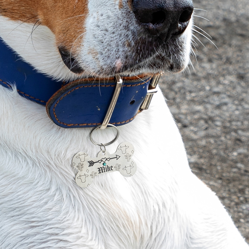 Personalized Turquoise Dog Tags with Name - CALLIE