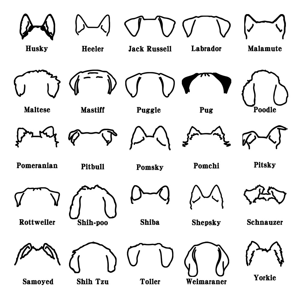 Personalized Dog Leash Holder with Name and Dog Ears Pattern, Dog leash ...