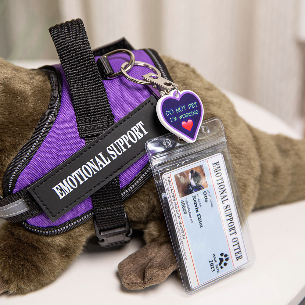 Personalised Emotional Support Soft Otter Stuffed Animal with Name ...