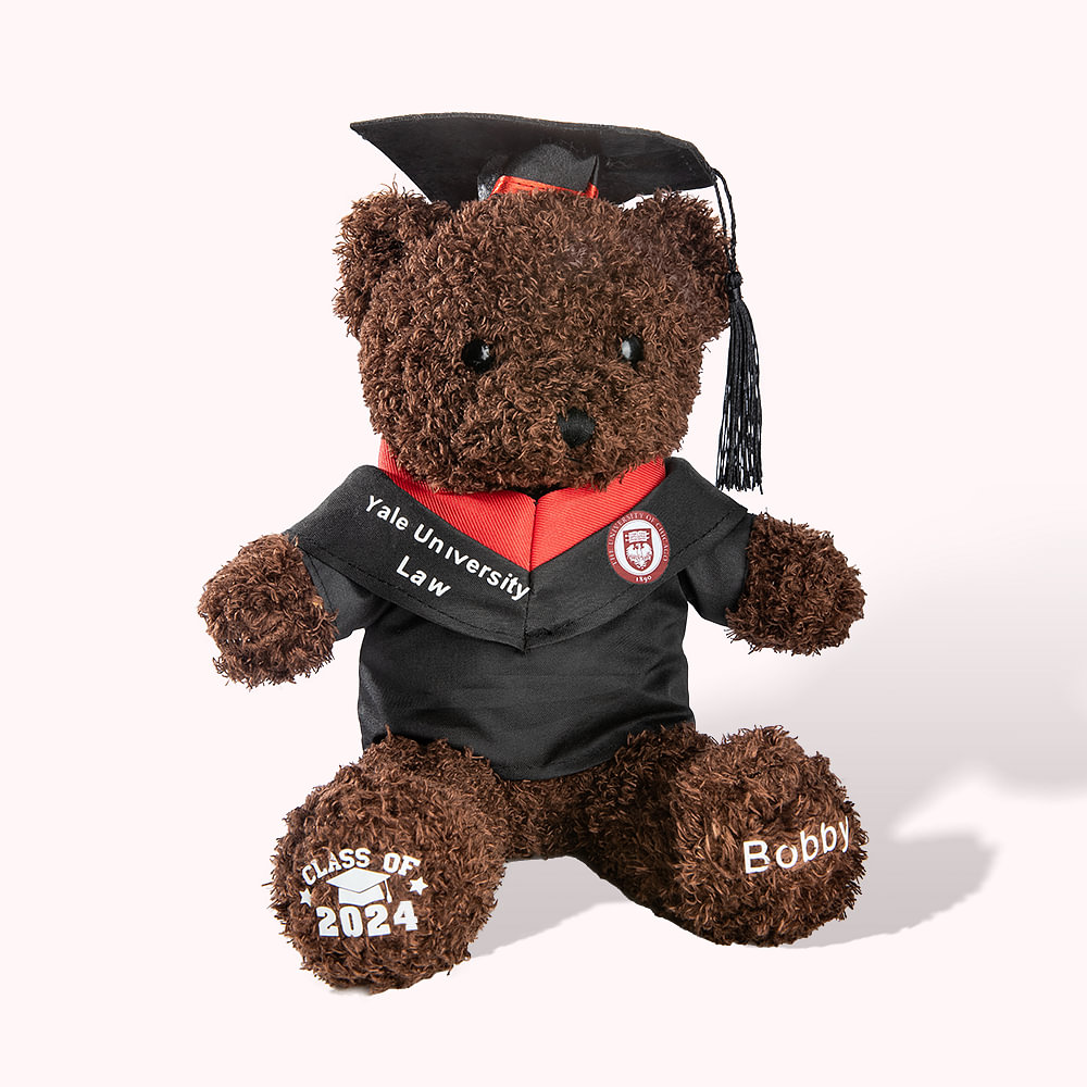 Personalized Teddy Bear with Name and School Badge Graduation Gifts for ...
