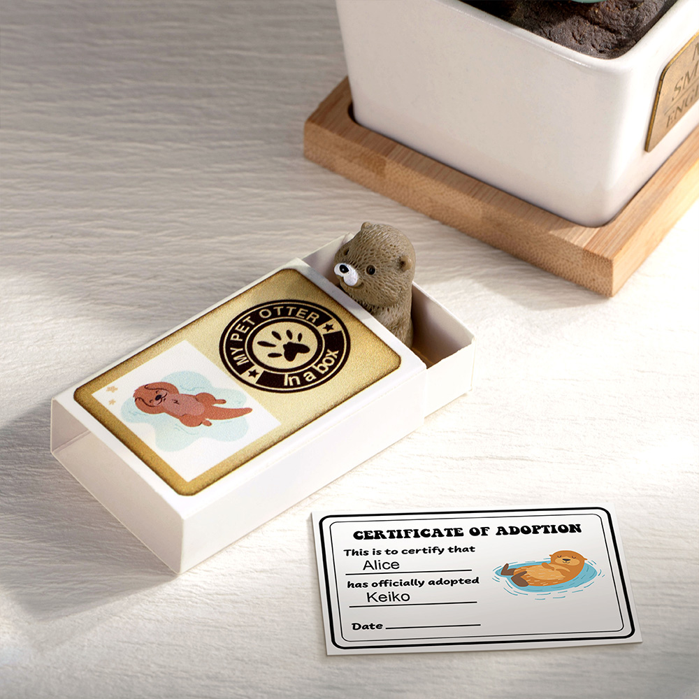 Personalized My Pet Otter In A Box Mini Otter Matchbox with Name Card ...