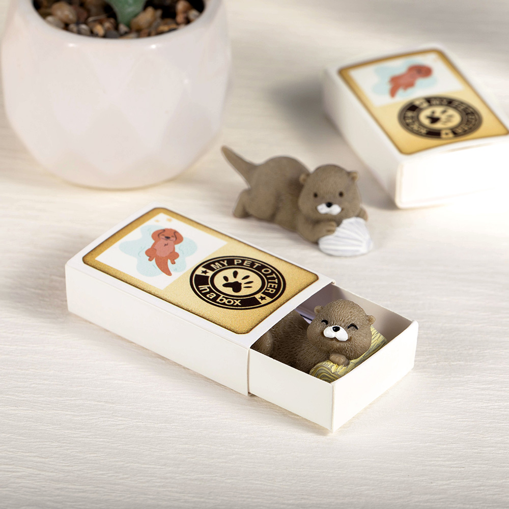 Personalized My Pet Otter In A Box Mini Otter Matchbox with Name Card ...