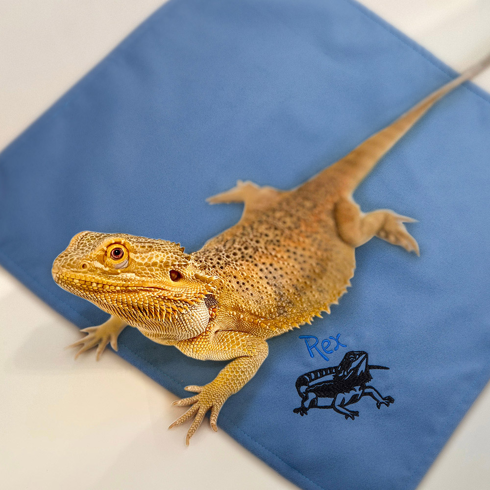 Personalized Bearded Dragon Soft Warm Blanket with Embroidered Name ...