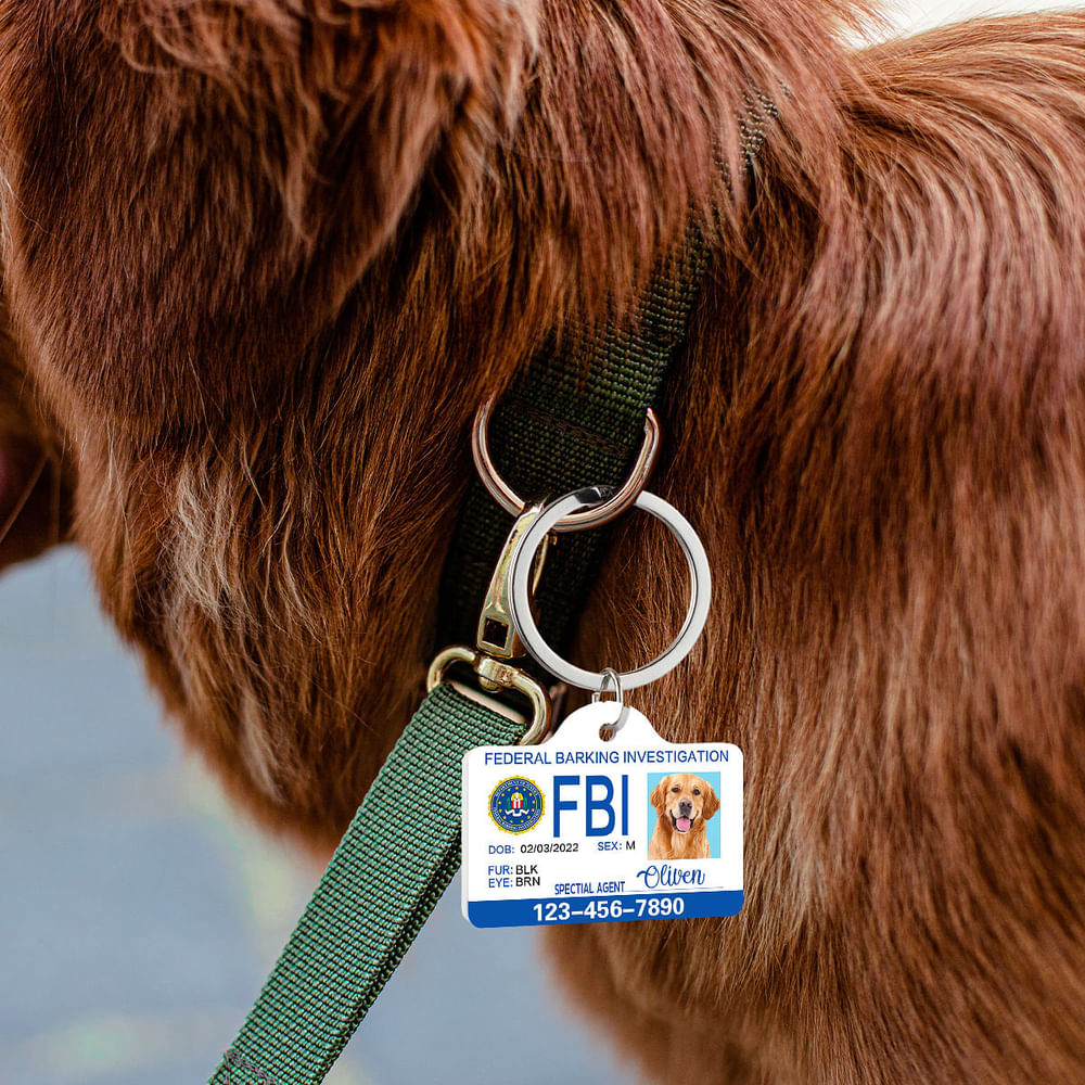 Personalised Acrylic Pet Photo License ID Tag with Texts Birthday Gift ...