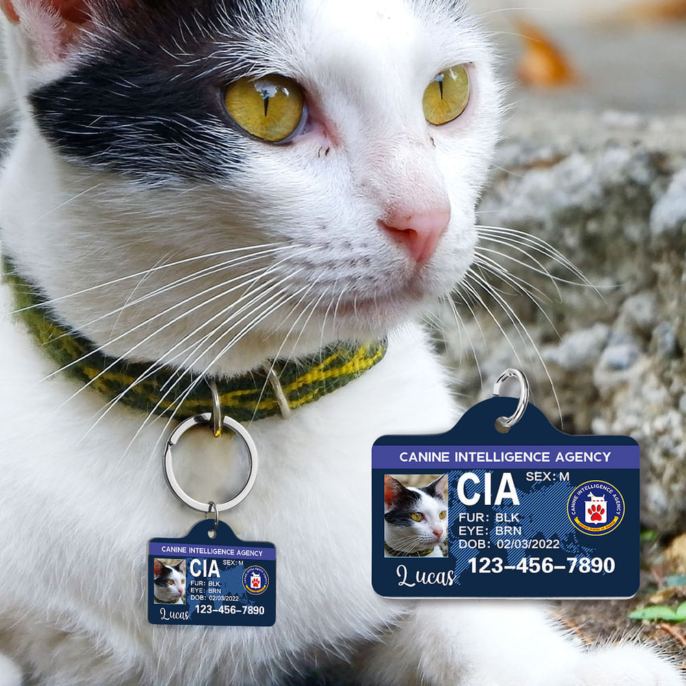Personalised Acrylic Pet Photo License ID Tag with Texts Birthday Gift ...