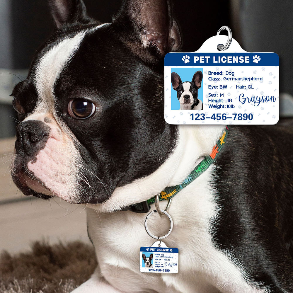 Personalised Acrylic Pet Photo License ID Tag with Texts Birthday Gift ...