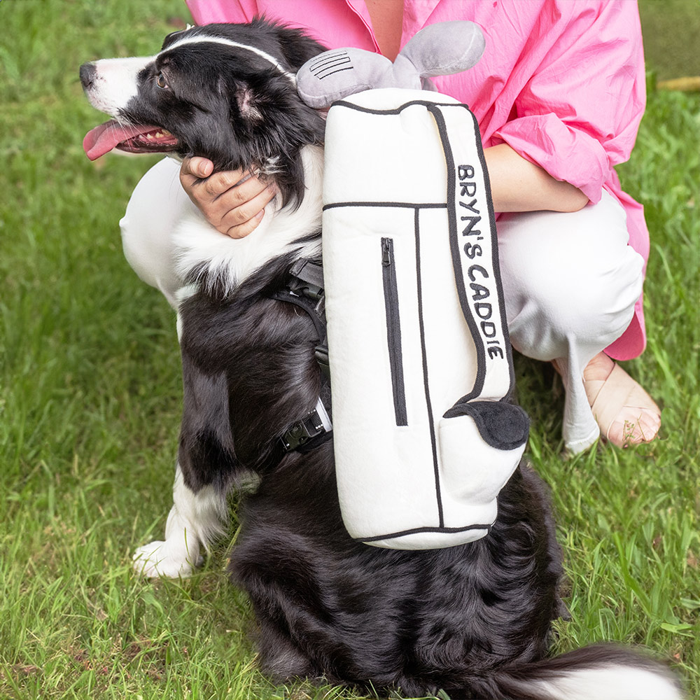 Personalised Detachable Funny Plush Golf Caddy Bag with Adjustable Dog ...