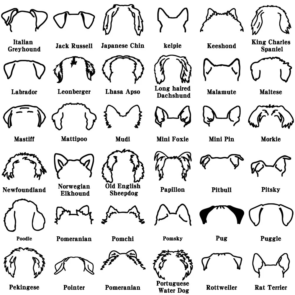 Personalized Dog Leash Holder with Name and Dog Ears Pattern, Dog leash ...