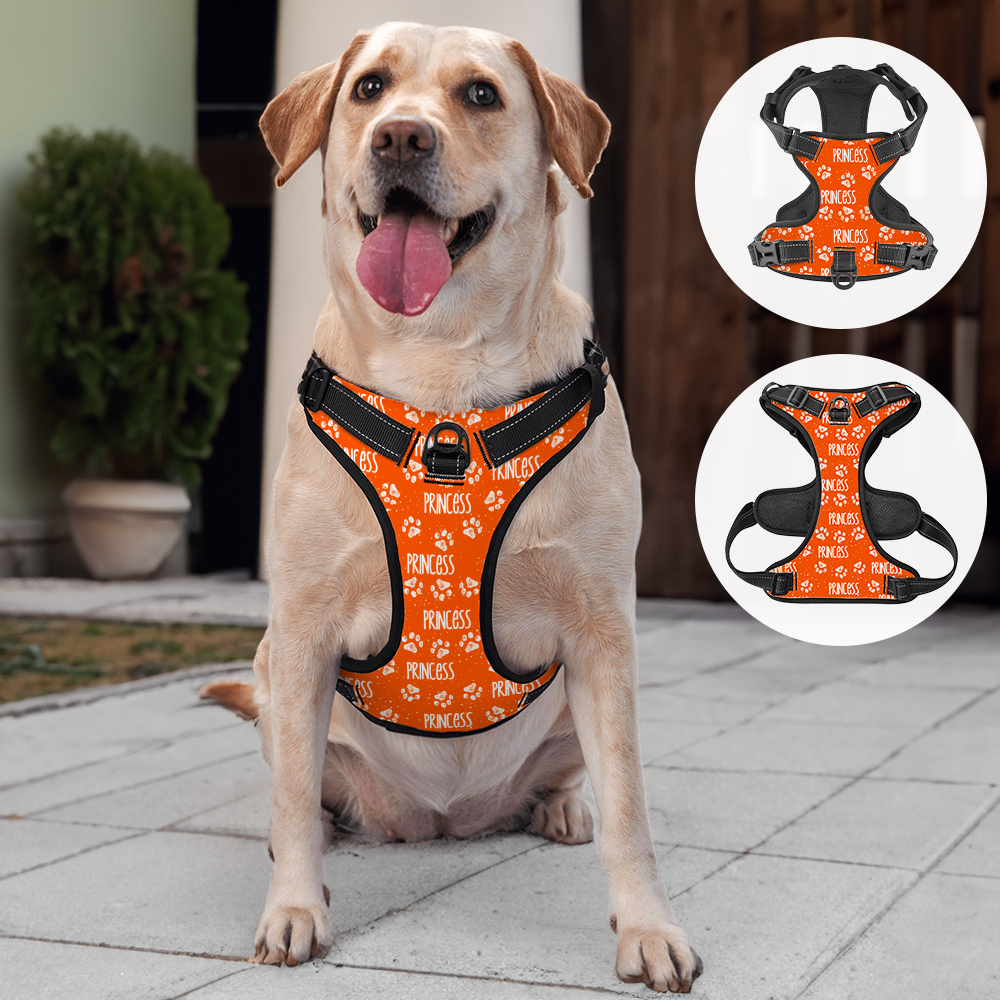 Personalized Multicolor Cute Paw Dog Vest with Name Birthday Day Gift ...