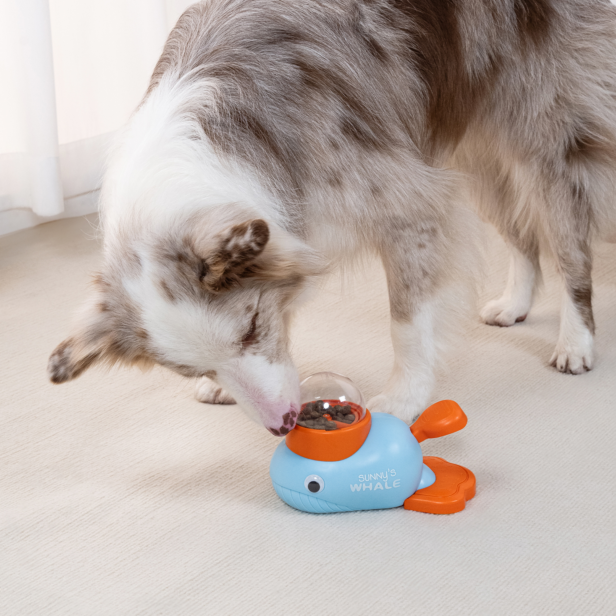 Personalised Whale Duck Dog Interactive Treat Dispenser Toy with Name ...