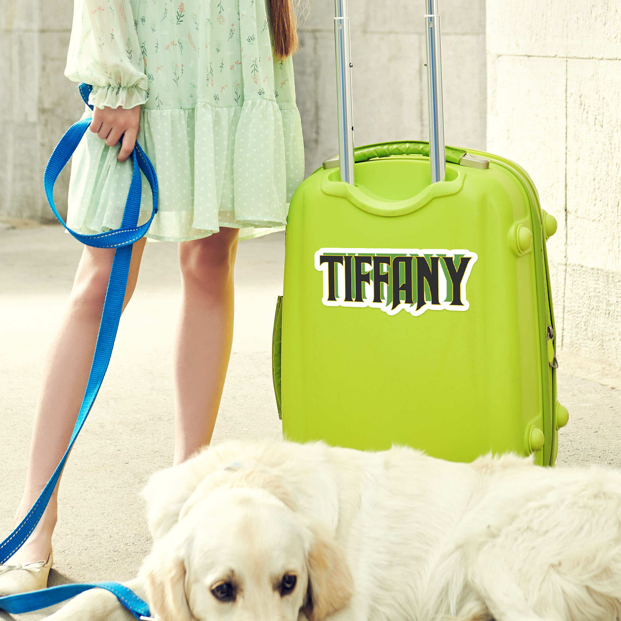 Personalised Wicked-Inspired Name Label Sticker Birthday Christmas Gift ...