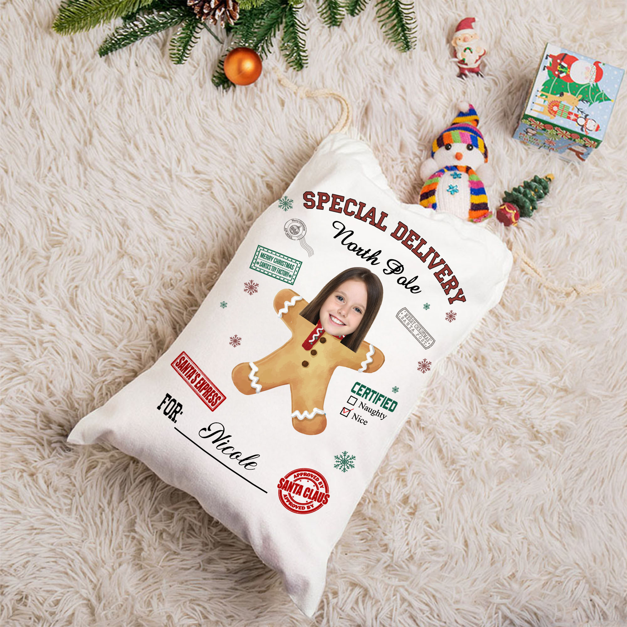 Personalized Special Delivery North Pole Santa Claus Canvas Drawstring ...