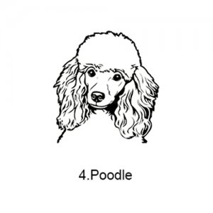 Personalized Dog Pet Magnet Feeding Tracker Feed Reminder Slider Gift ...