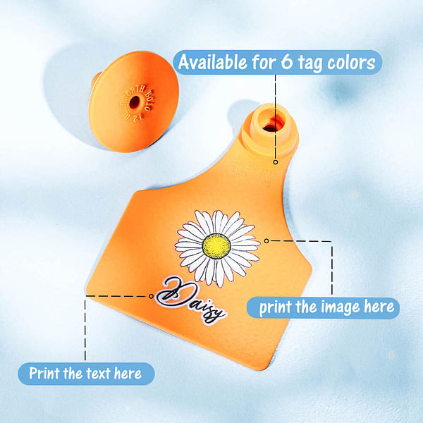 Personalized Custom AllFlex Sheep Ear Tags Livestock Tags - CALLIE