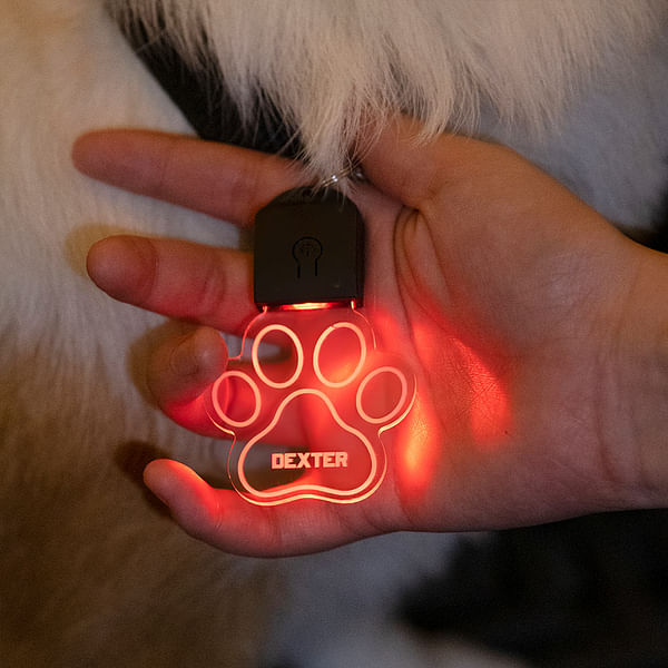 Personalized Paw and Bone Shaped LED Acrylic Dog Collar Tag with Name 7 ...