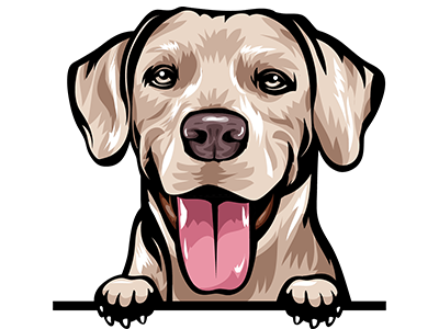 Personalized Welcome Door Sign Wooden Crazy Dog Lady And Grumpy Old Man ...