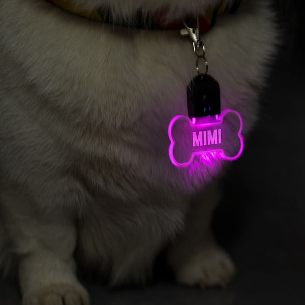 Personalized Paw and Bone Shaped LED Acrylic Dog Collar Tag with Name 7 ...
