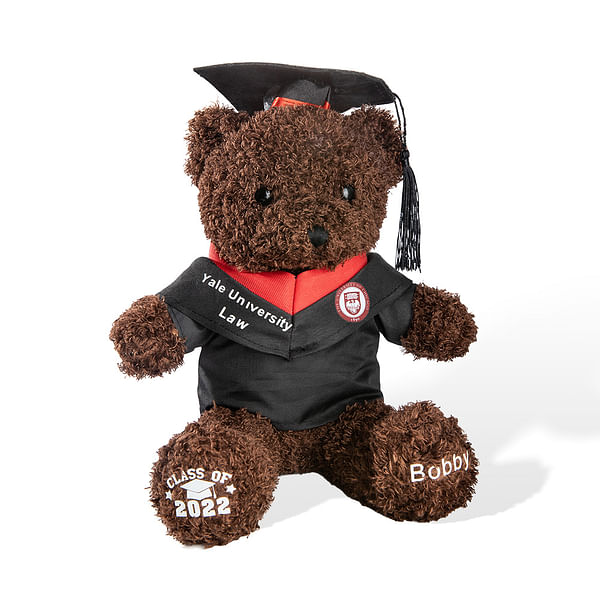 Personalized Graduation Gift Teddy Bear with Name and School Badge - CALLIE