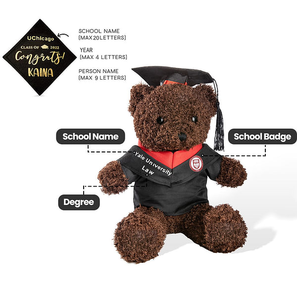 Personalized Graduation Gift Teddy Bear with Name and School Badge - CALLIE