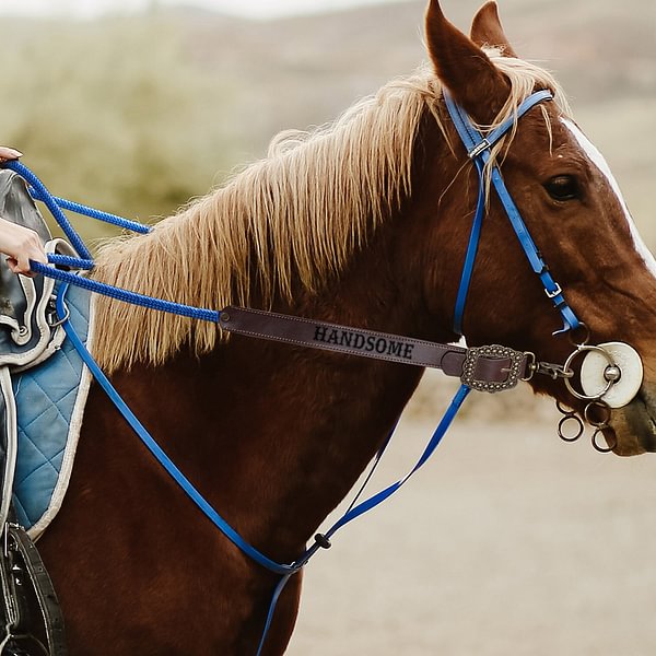 Personalized Retro Style Leather Horse Rope Reins with Name for Friend ...