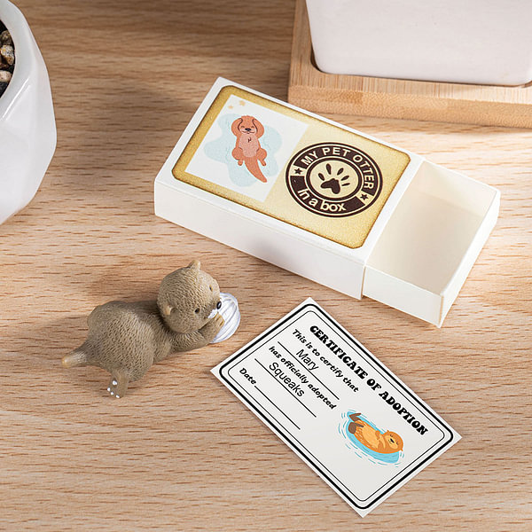 Personalized My Pet Otter In A Box Mini Otter Matchbox with Name Card ...
