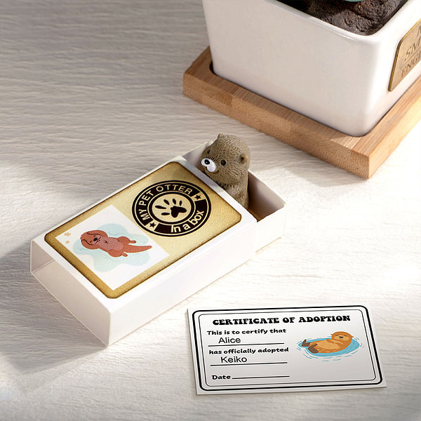 Personalized My Pet Otter In A Box Mini Otter Matchbox with Name Card ...