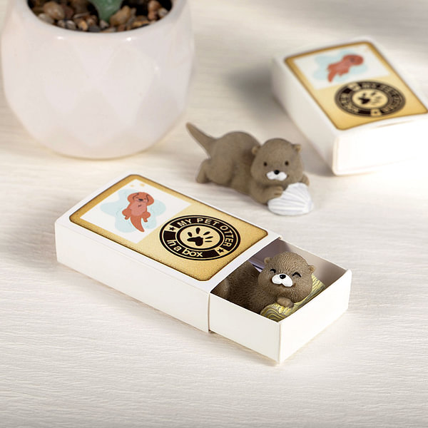 Personalized My Pet Otter In A Box Mini Otter Matchbox with Name Card ...