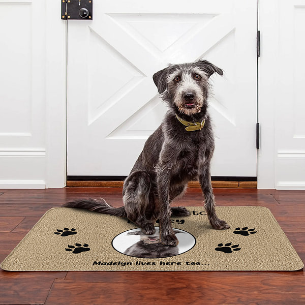 Personalized 1-3 Pet Photos Collage Paw Print Welcome to Non-Slip ...